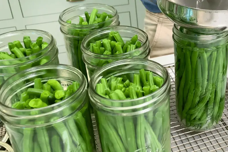 Pickling Green Beans: Classic Dilly and Spicy Recipes - Pickle Anything